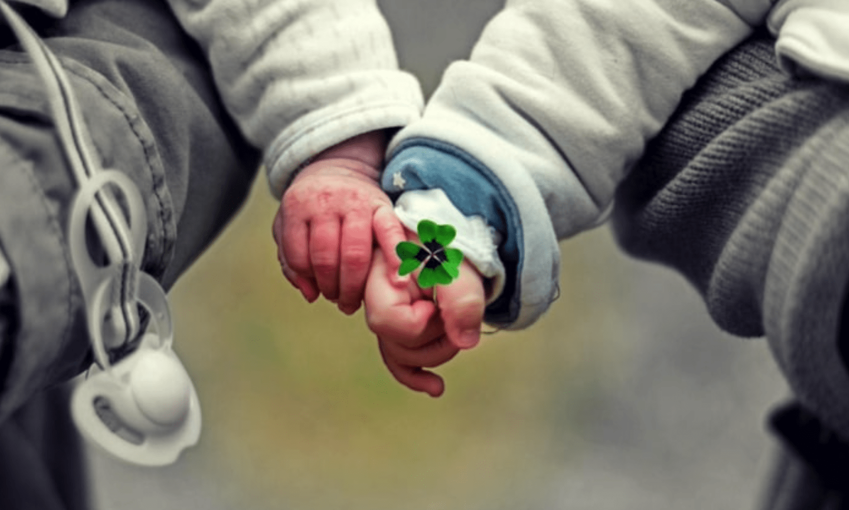 Nissy 10th Anniversary LIVE VIEWING TOUR 2023 -Nissy Meets You-感想レポまとめ ...